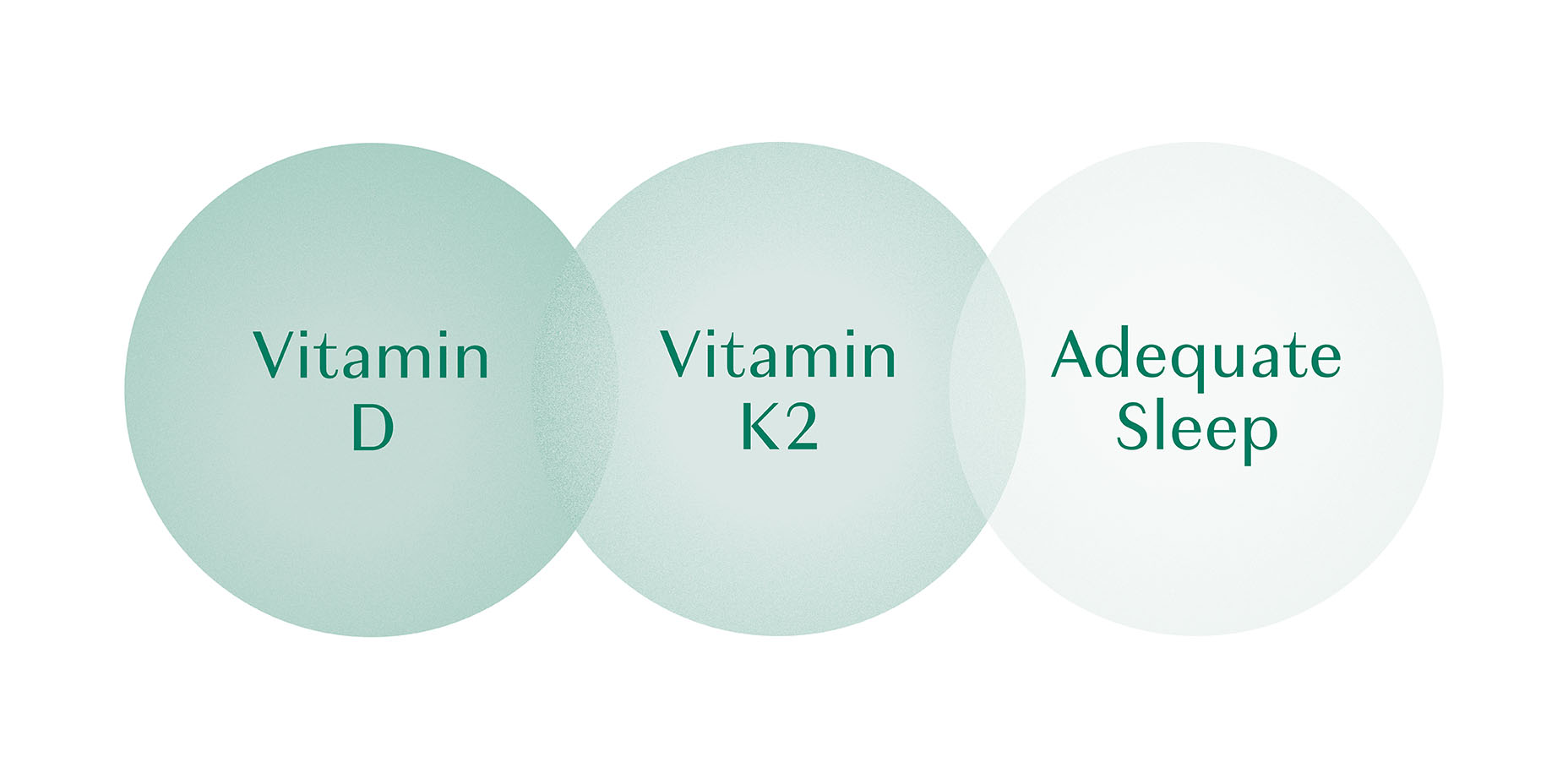 Healthy Bones, Healthy Brain: What You Need You Need To Know | AlgaeCal
