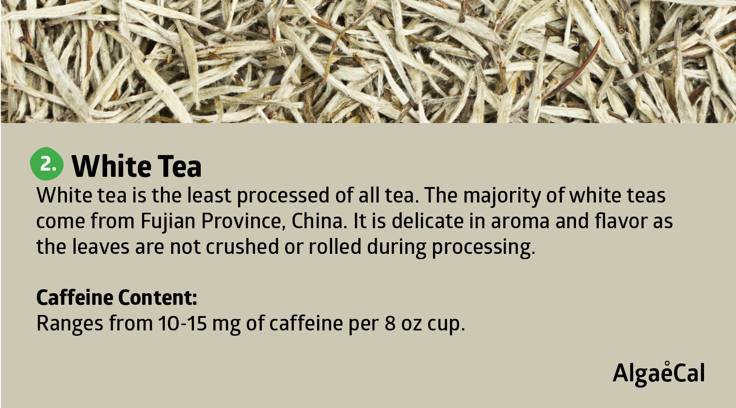 The Bone Health Benefits of Tea | AlgaeCal