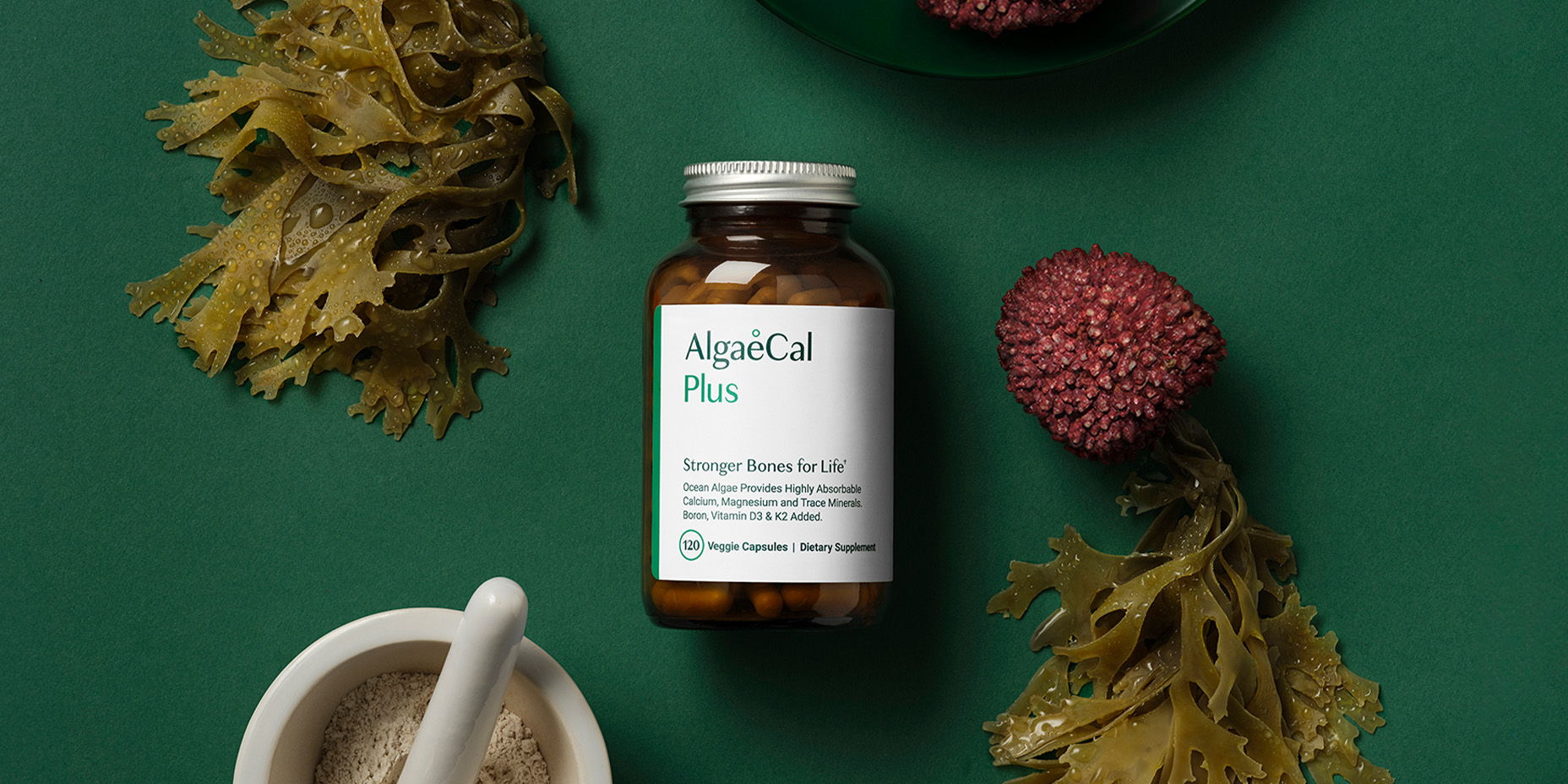 The Benefits of Red Algae | AlgaeCal