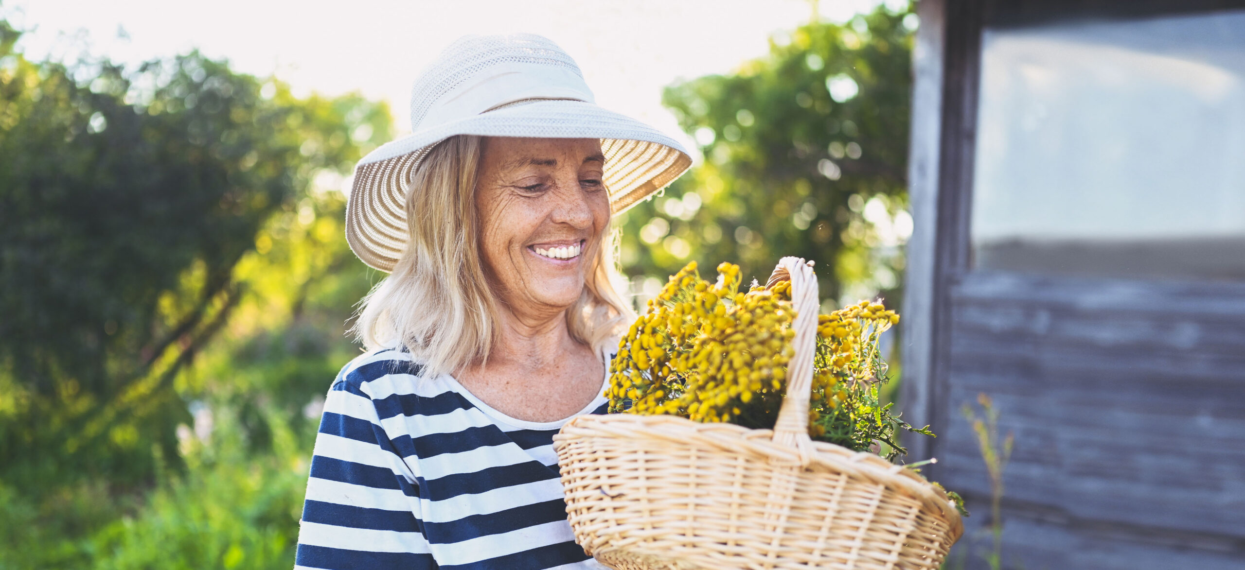 Discover the Ultimate Vitamin D Protocol for Maximum Results! | AlgaeCal