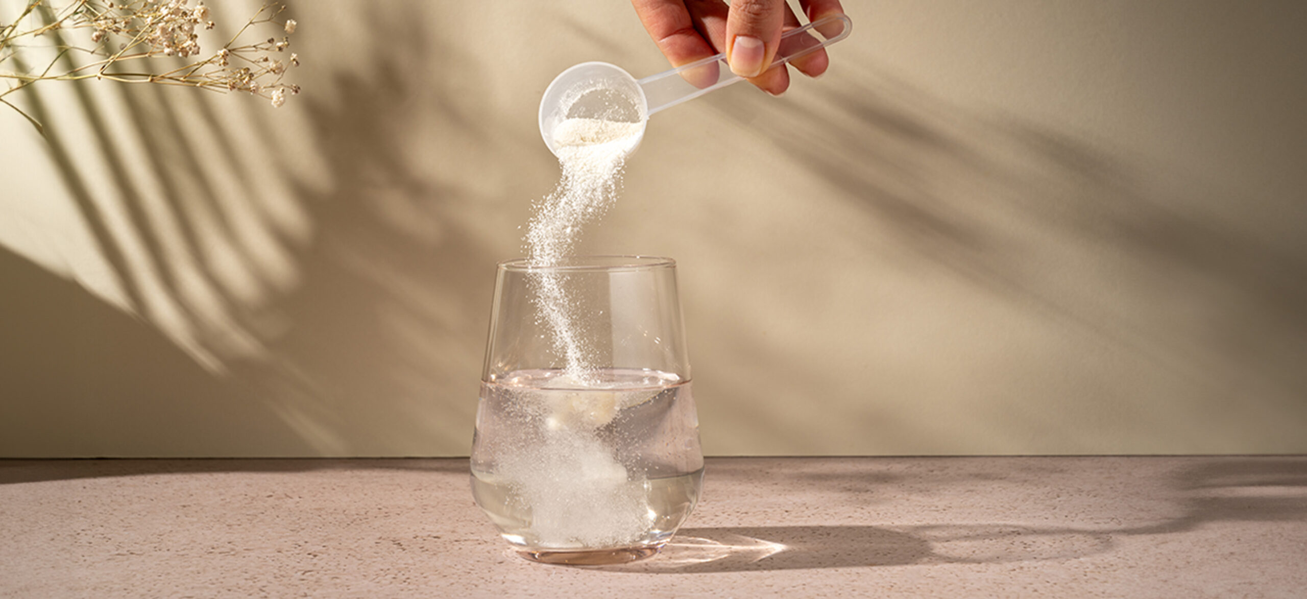 How to Choose the Best Collagen Supplement | AlgaeCal