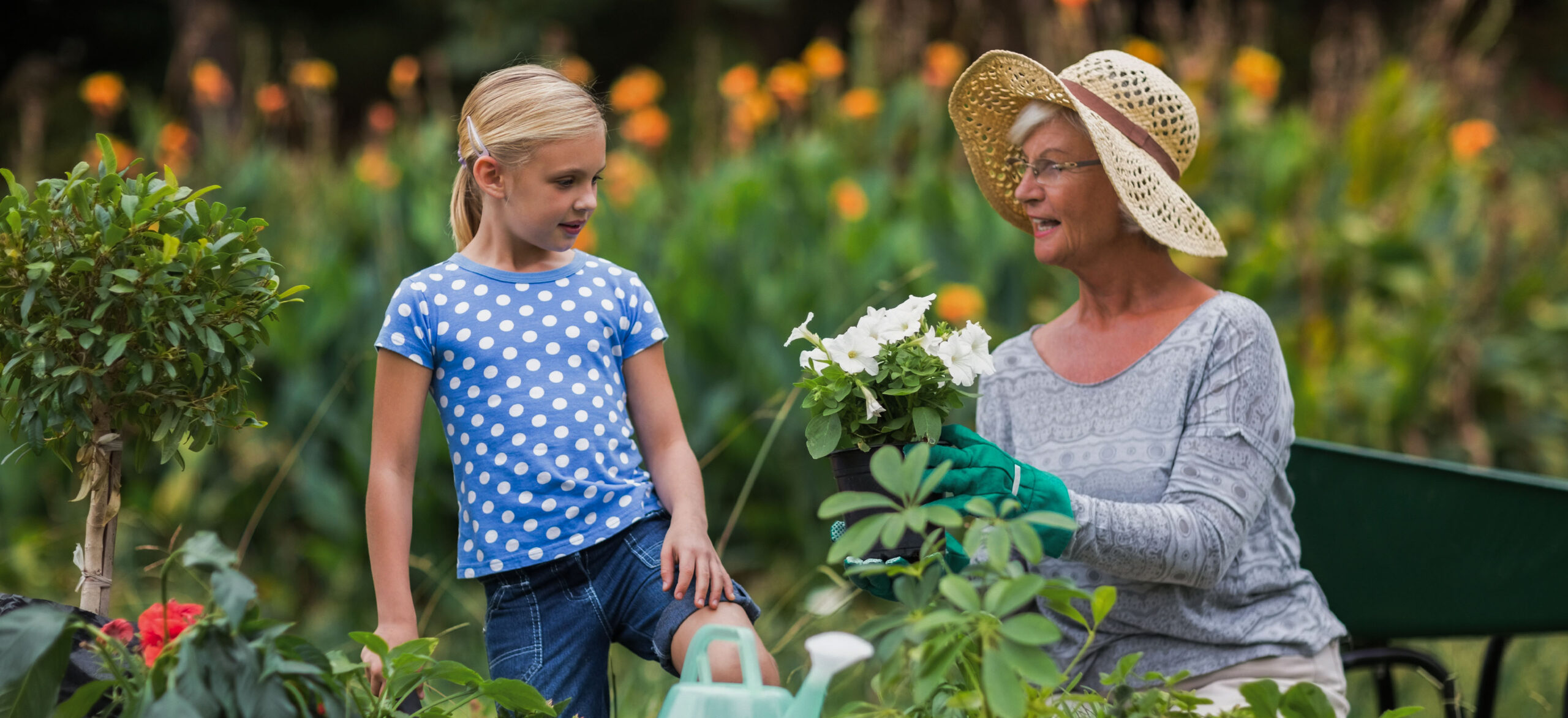 Collagen for Joint Health | AlgaeCal