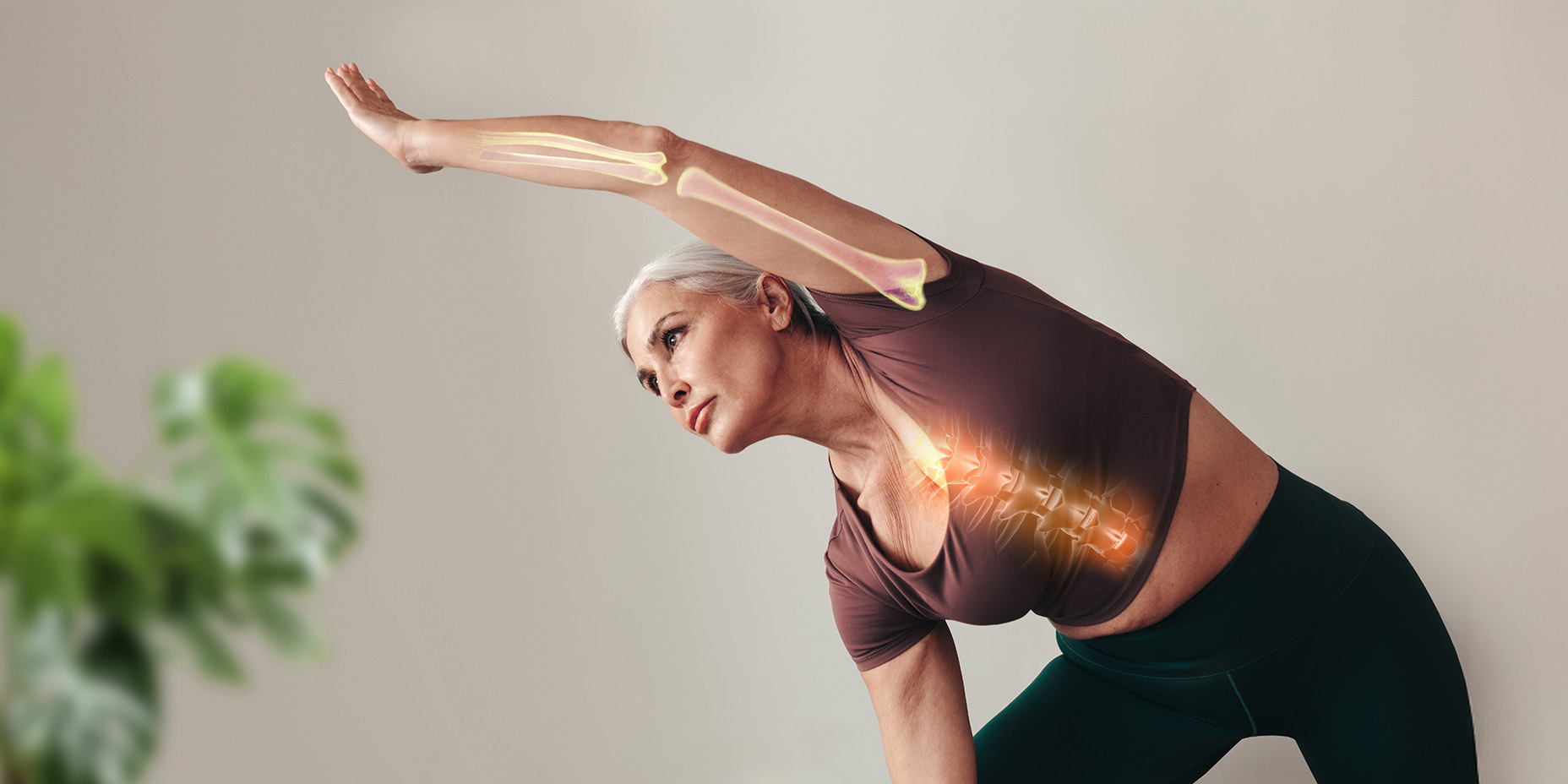 FORTIBONE Collagen - Increase Bone Density & Bone Strength | AlgaeCal