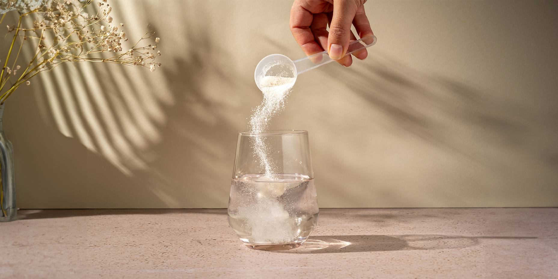 Collagen For Osteoporosis | AlgaeCal