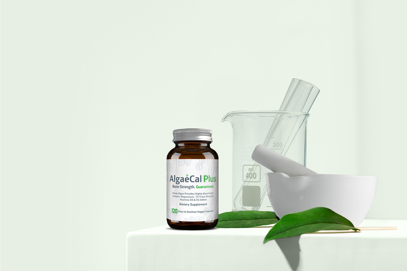 Nutrition and Bone Health: A Chiropractor’s Perspective | AlgaeCal