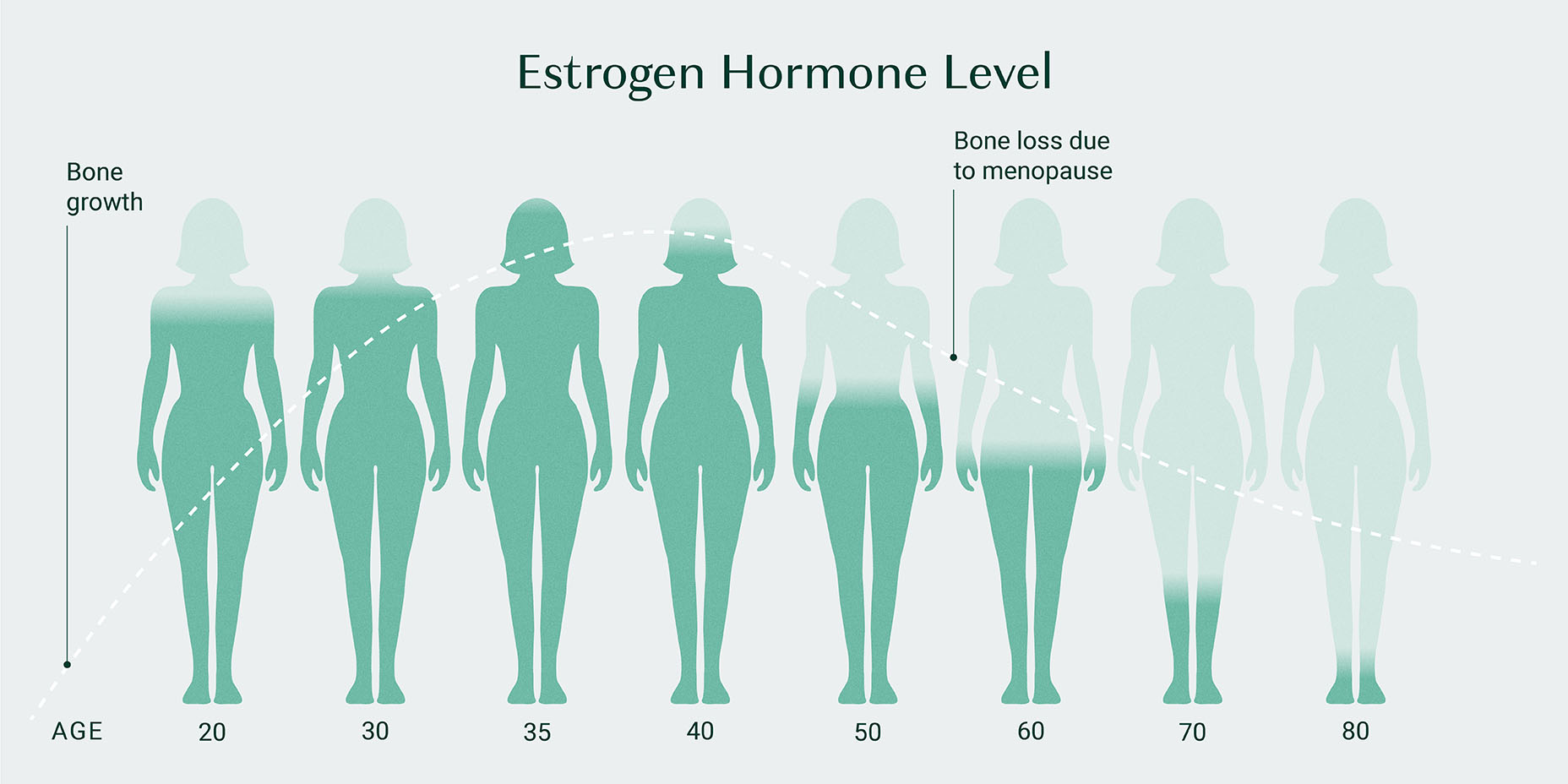 Healthy Levels of Estrogen in Postmenopausal Women | AlgaeCal