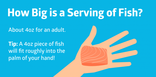 8-Ingredient Salmon Burger Recipe! | AlgaeCal