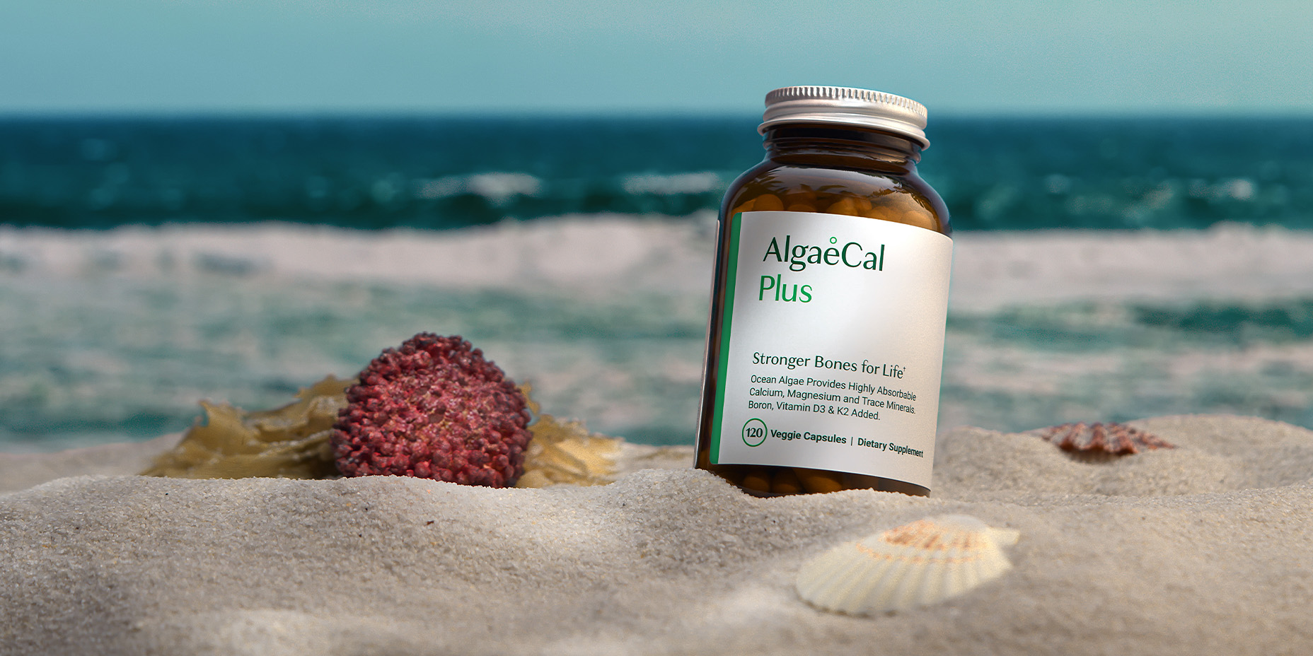 Understanding Bone Fractures