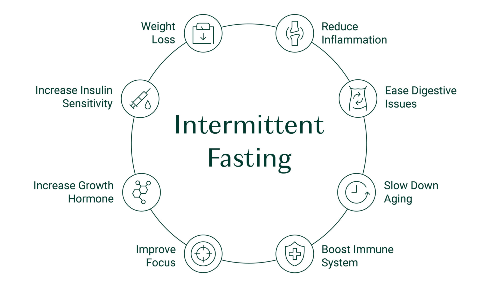 Intermittent Fasting: A Surprising Way to Improve Bone Health