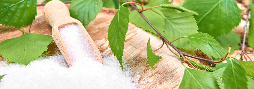 Xylitol, The Sugar Substitute with Health Benefits? | AlgaeCal